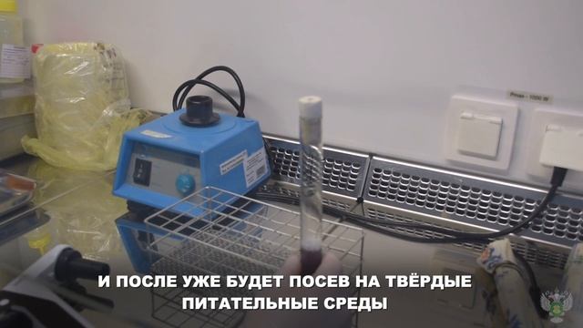 Исследования рыбопродукции