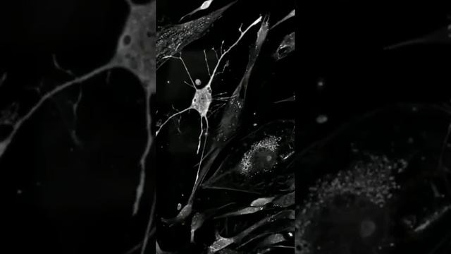 VID_20221222_215022_475.mp4