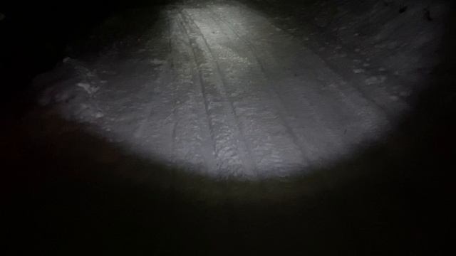 Провести Ночь в глубоком лесу. А5 челлендж.