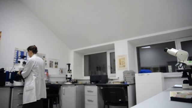 Аскохитоз хризантем (Didymella ligulicola (K.F. Baker, Dimock&Davis) vonArx).mp4