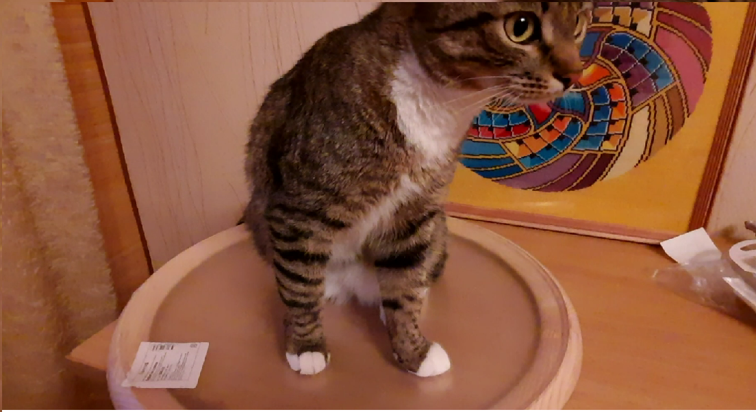 Много ли надо для рукодельного счастья