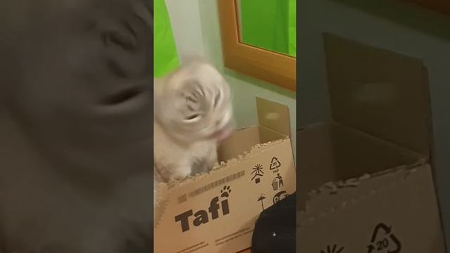 Как же все меня достали!