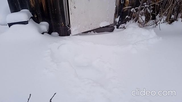 7 января , С рождеством !!!!! первый выезд 2022