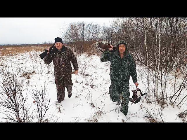 Моя первая охота в жизни! Охота с подхода: охота на боровую дичь. Охота на тетерева и куропатку