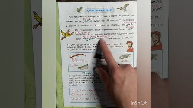 4 класс. ГДЗ. Окружающий мир. Рабочая тетрадь. Плешаков. Часть 1. Страницы 82-85. С комментированием