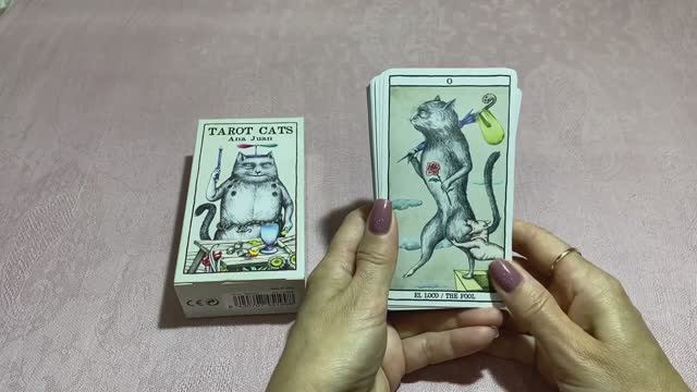 Таро Кошек от Аны Хуан. Издательство Fournier. Обзор
