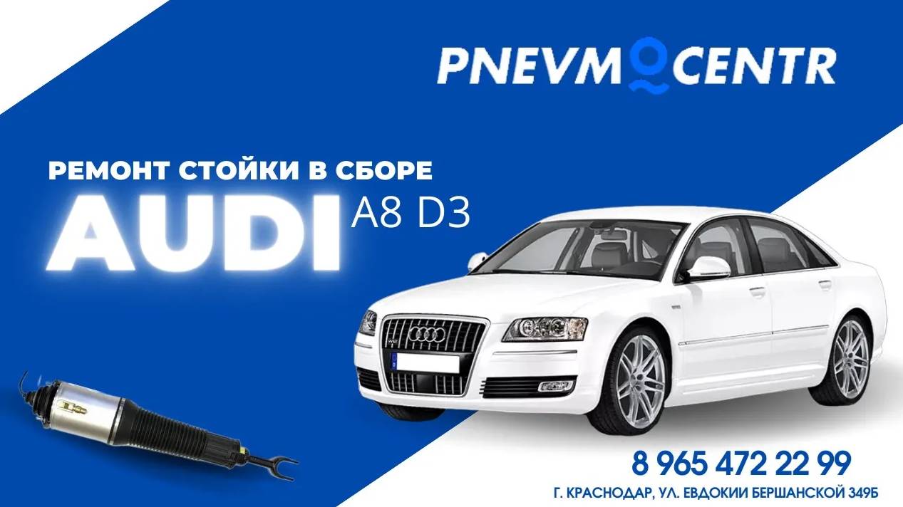 Ремонт амортизатора и стойки в сборе Audi A8 D3 (Ауди А8 Д3)