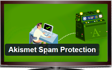 Плагин Akismet Anti-Spam.Настройка[7]