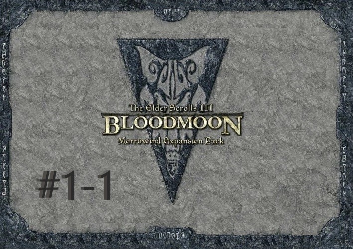 TESIII Bloodmoon #1-1 Пропавшая миссионерка.mp4