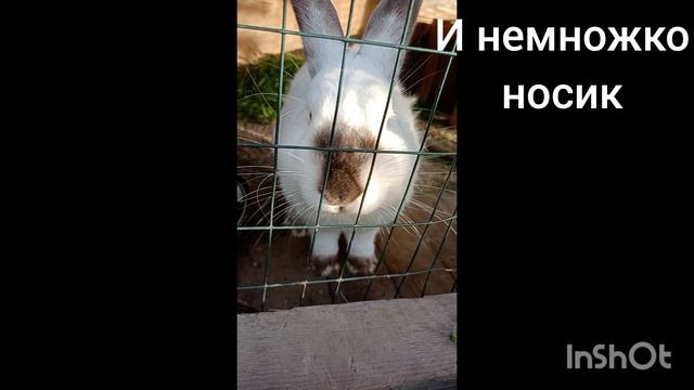 У меня почти всë белое...