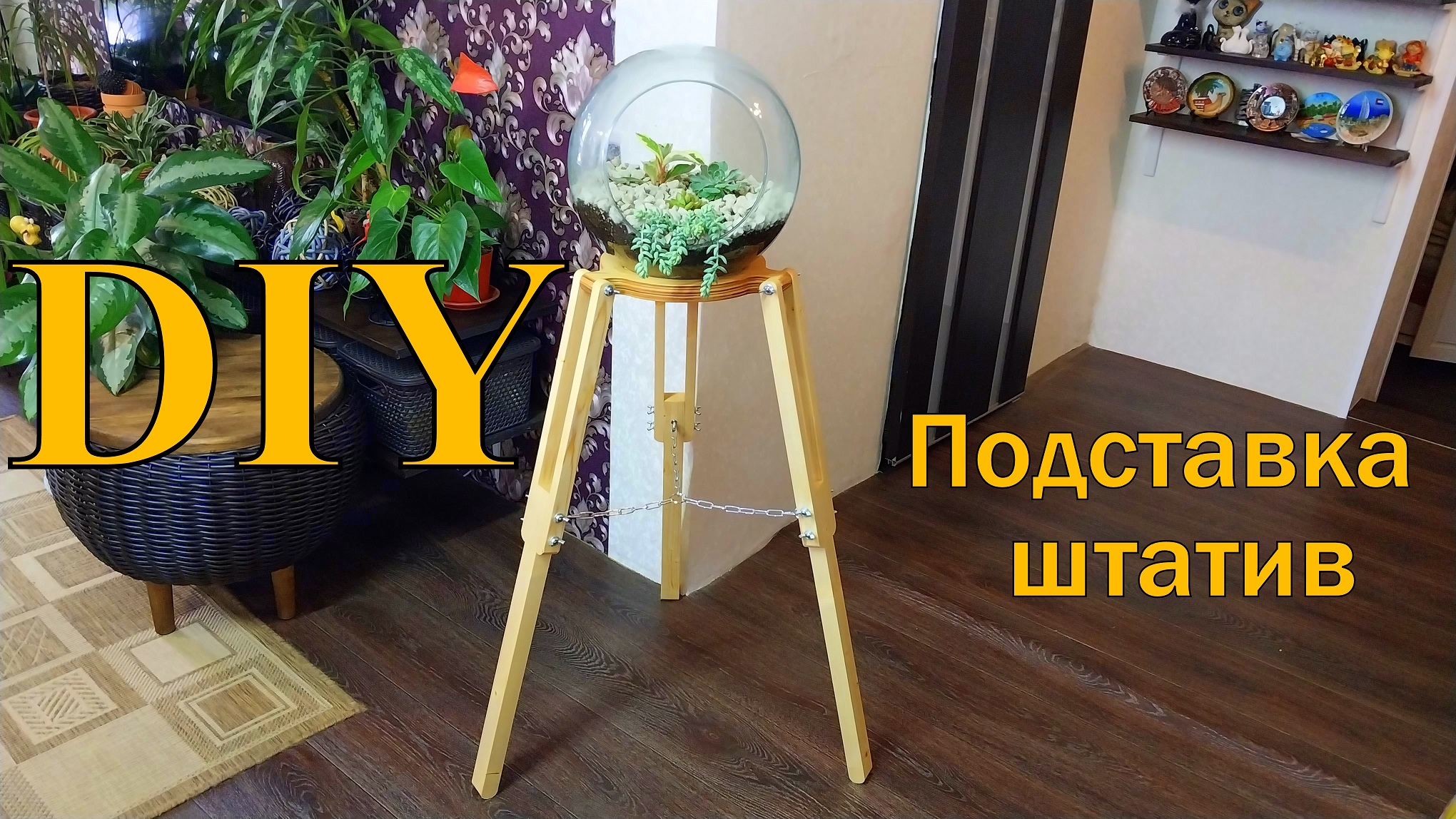 Лучшая подставка под флорариум - аквариум Своими руками