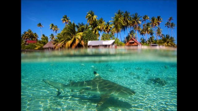 Поцелуем опалило