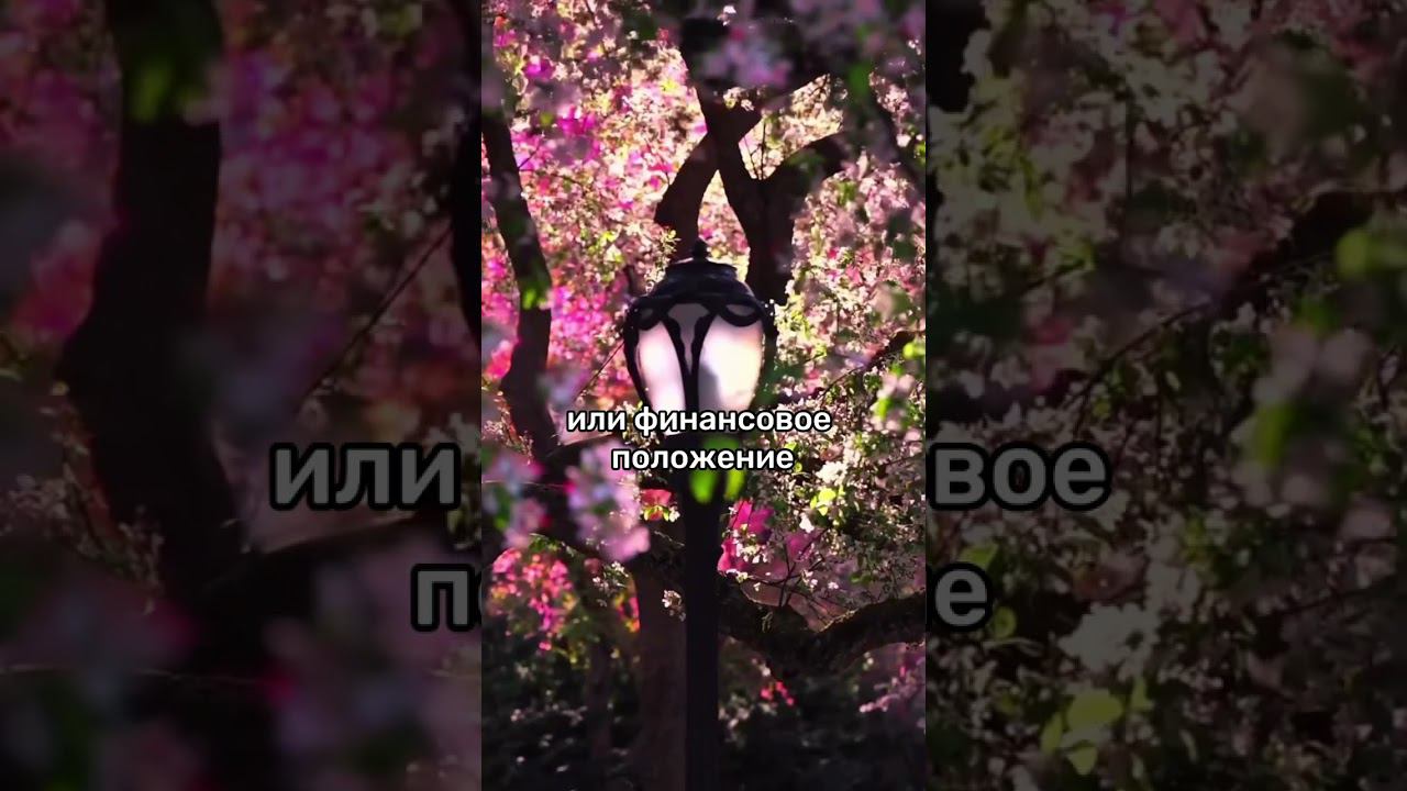 23 апреля 2023 г.