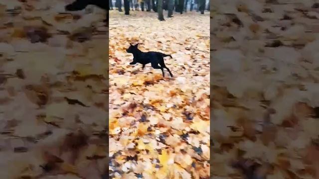 Куда уходит детство