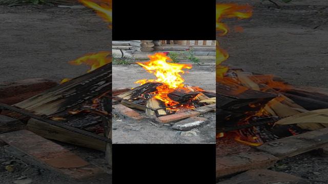 Мысли у коста