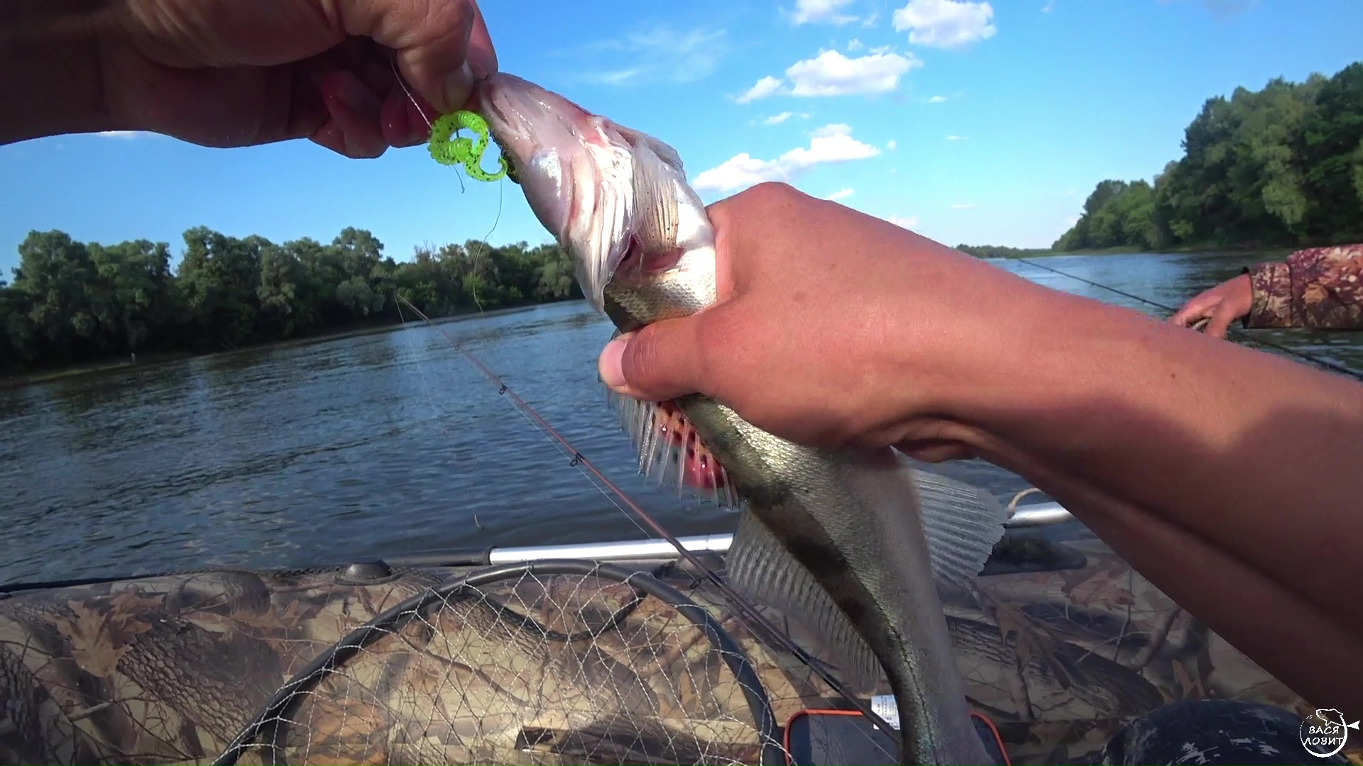 СУДАК, ЧЕХОНЬ, ОКУНЬ. Дон. Отводной поводок сделал мою рыбалку (13.06.2022)