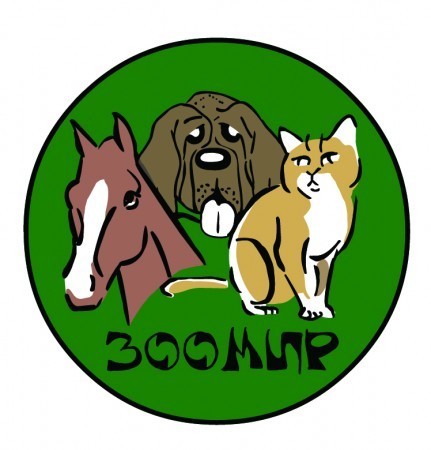 Как подобраться к дикому животному, чтобы сделать хорошую фотографию?