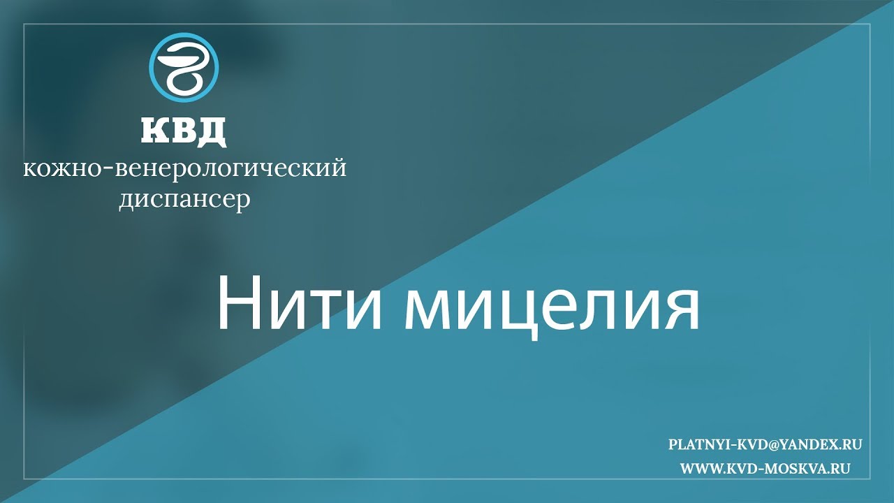 916  Нити мицелия