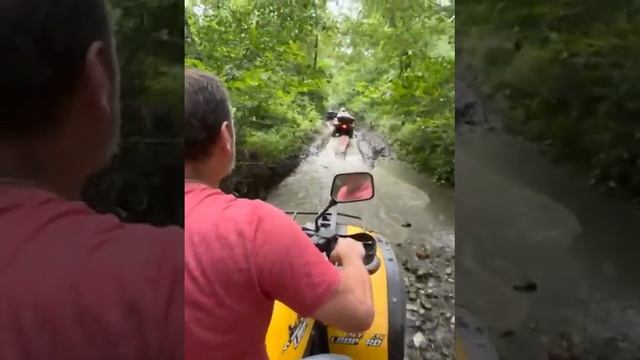 Прокат квадроциклов. Лазаревское