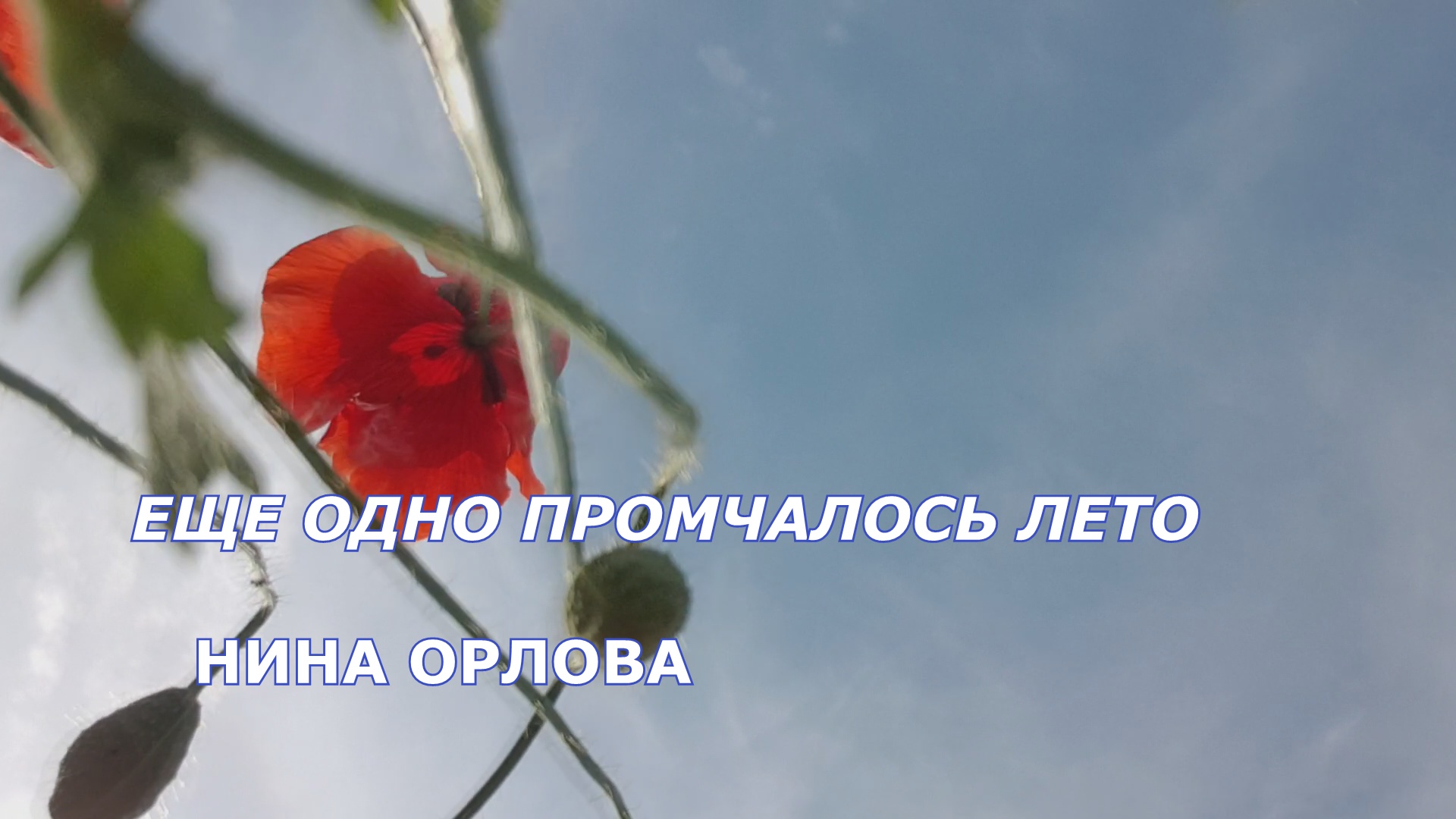 ЕЩЕ ОДНО ПРОМЧАЛОСЬ ЛЕТО