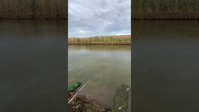 рыбалка х Лебеди Краснодарский край дгк