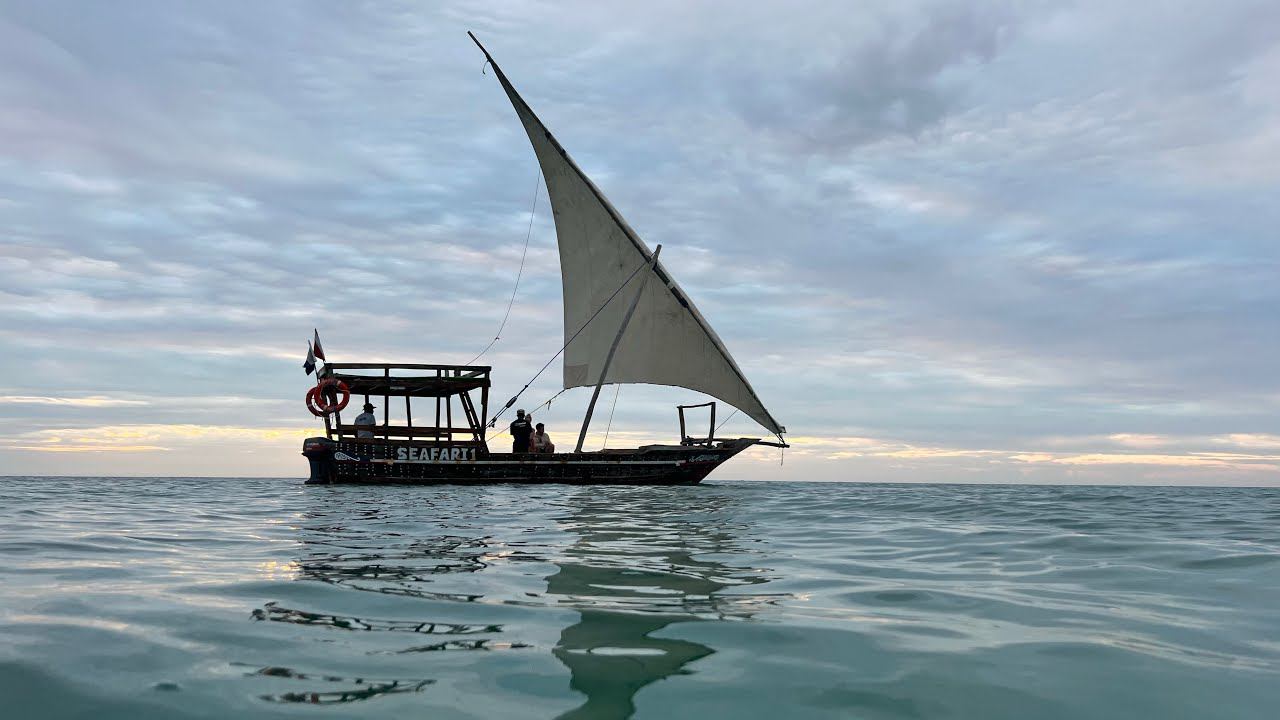 #2 ЛЕТИМ В ТАНЗАНИЮ! Огромный аэропорт Дубая, накатались на автобусах. Джамбо, Занзибар!