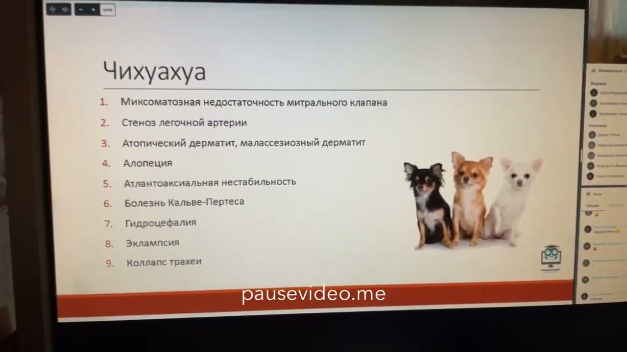 Кто виновник аллергии? И кое-что о "длинных спинах".