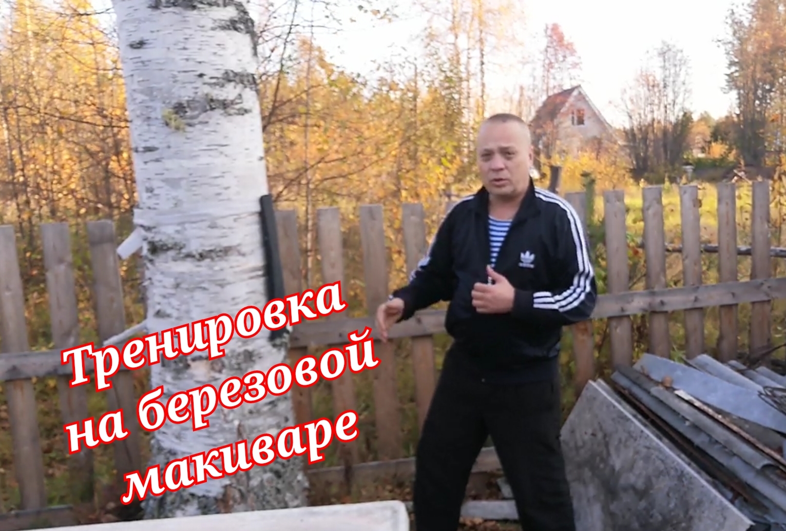 Ударник дачный - орёл чердачный