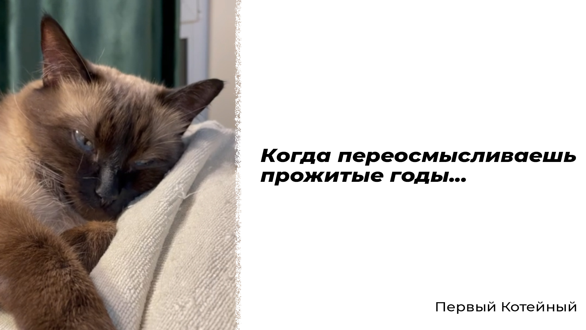 Когда переосмысливаешь прожитые годы ?