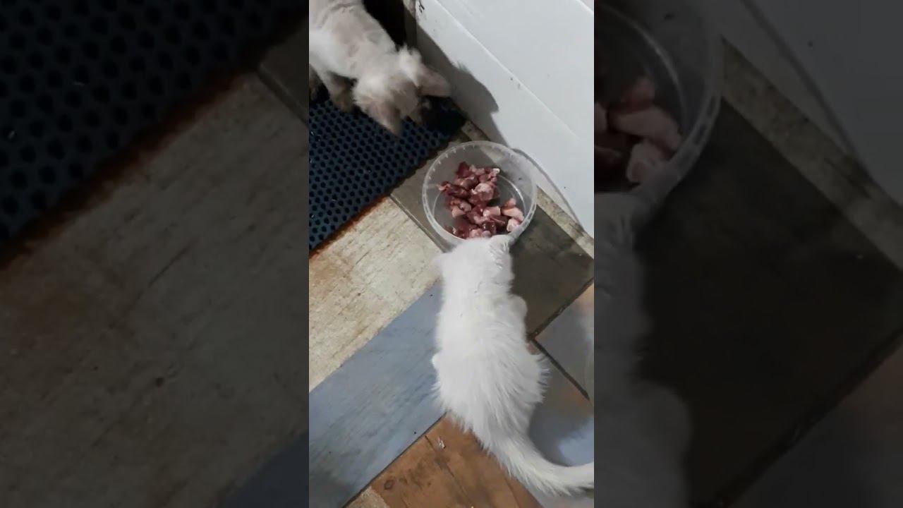 Очень вкусно :))