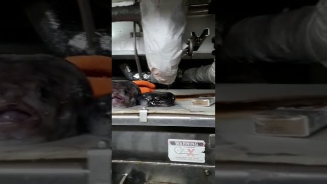 Работа моряка на корабле