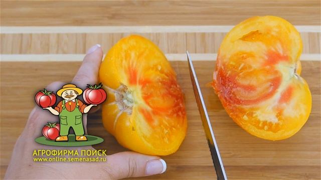 Вкуснотека10