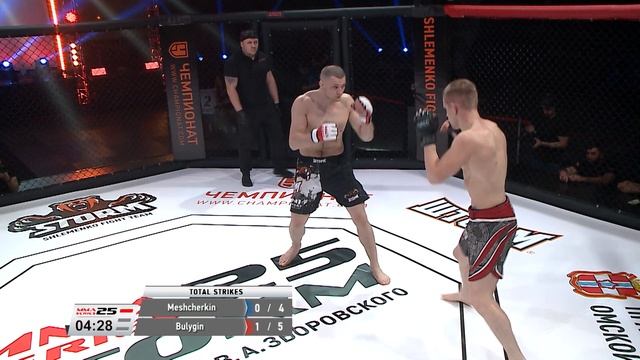 Вячеслав Мещеркин vs. Константин Булыгин