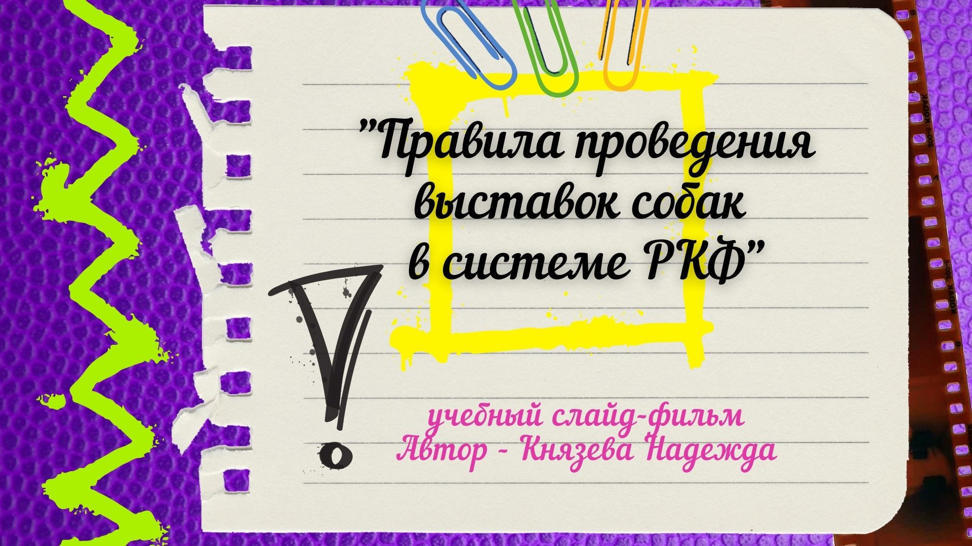 Собираемся на выставку собак.  Изучаем правила выставки.mp4