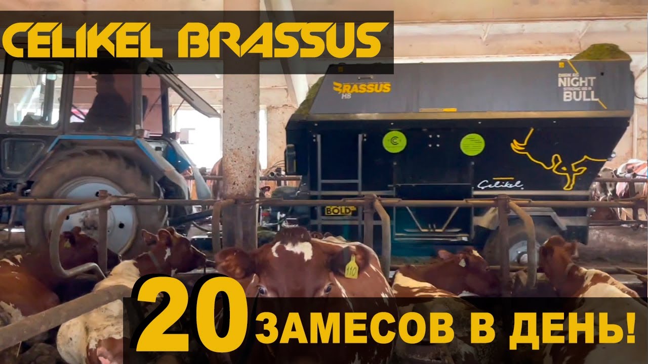 Горизонтальный или вертикальный кормораздатчик. Отзыв фермера Celikel Brassus H8.