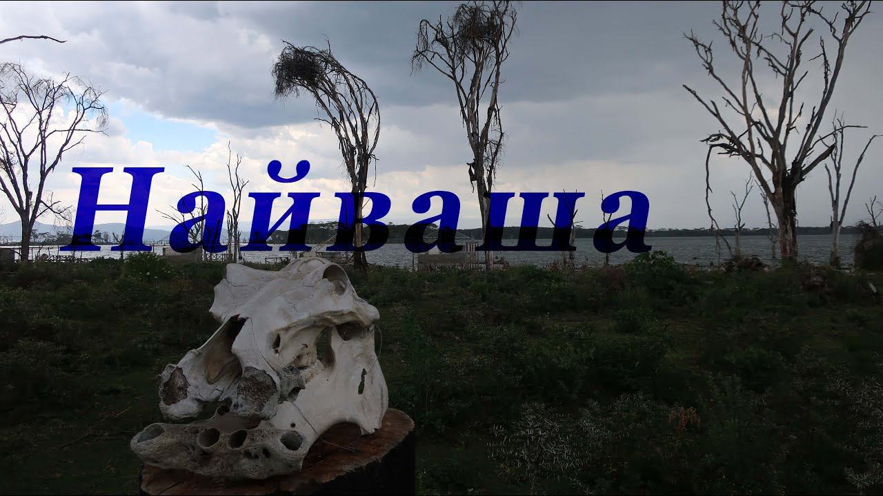 Озеро Найваша  Lake Naivasha