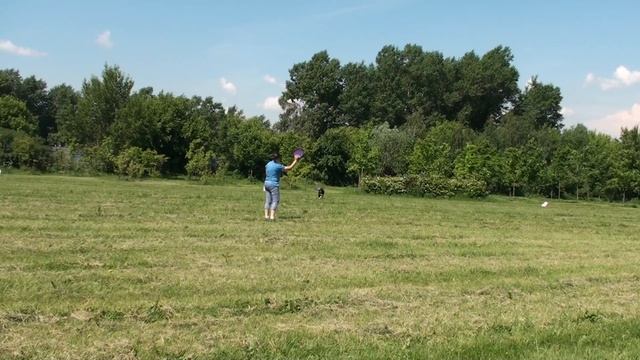 Захватывающие диски Татьяна и Эврика.mp4