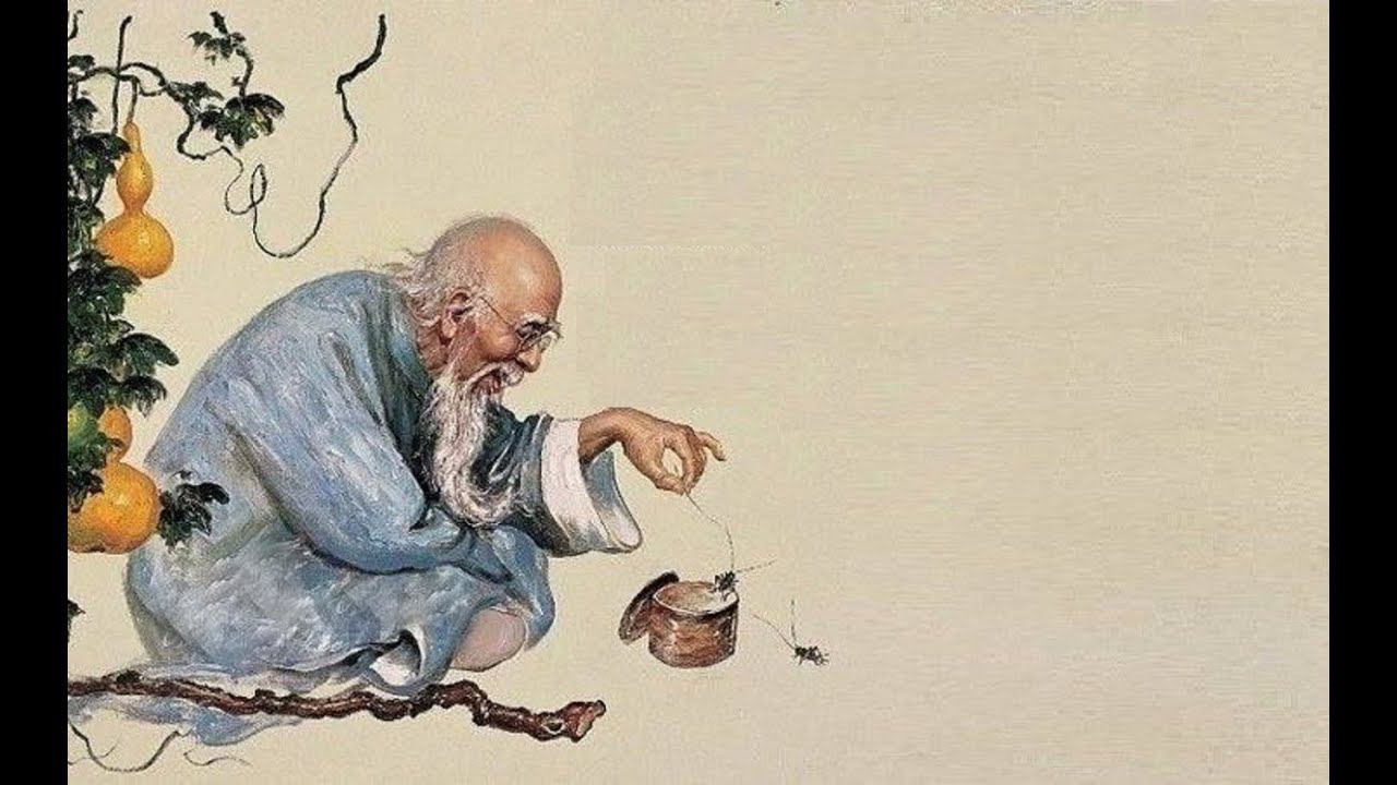 Съев незрелый плод можно отравиться.