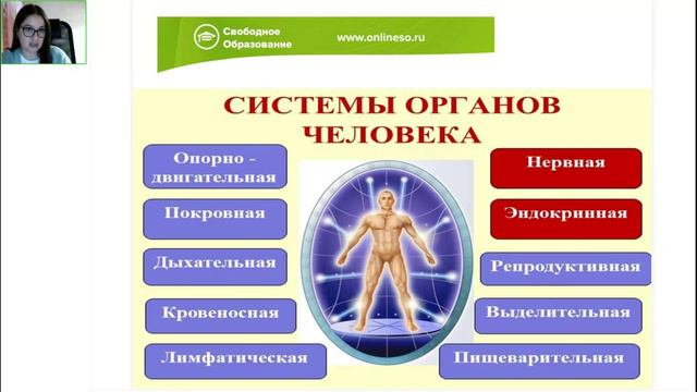 Биология 8 класс 18.01.2024