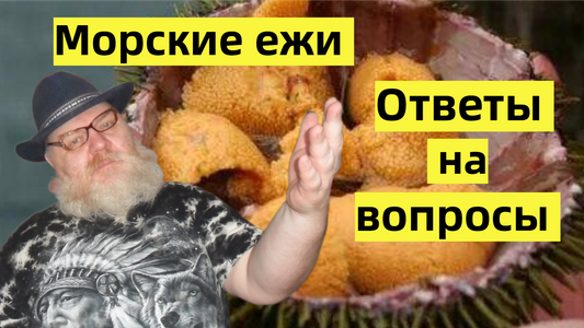 29.Коллекционеры.  Ответ на вопросы.