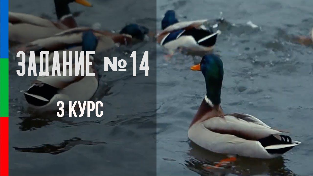 ДО31_МИЦЕВИЧ_МАСТЕРСТВО_НАСТРОЕНЧЕСКИЙ ЭТЮД