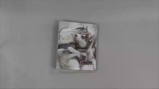 Фотоальбом 200 фото 10х15 Собаки-4 Platinum  23715