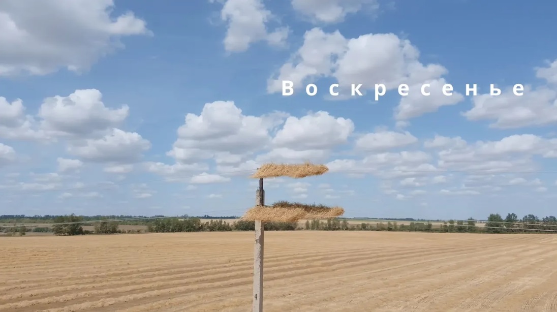 Воскресенье