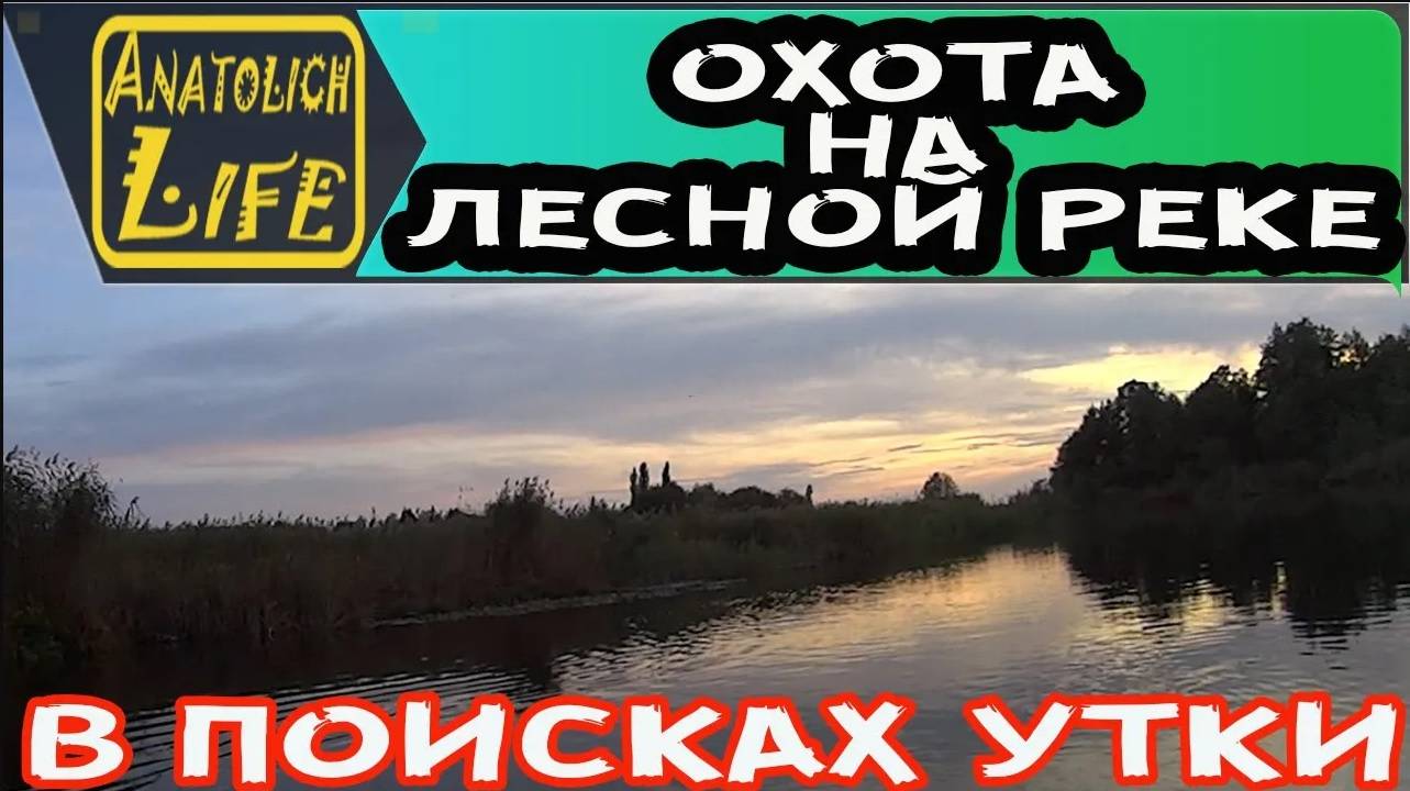 Охота на уток осенью с манком!