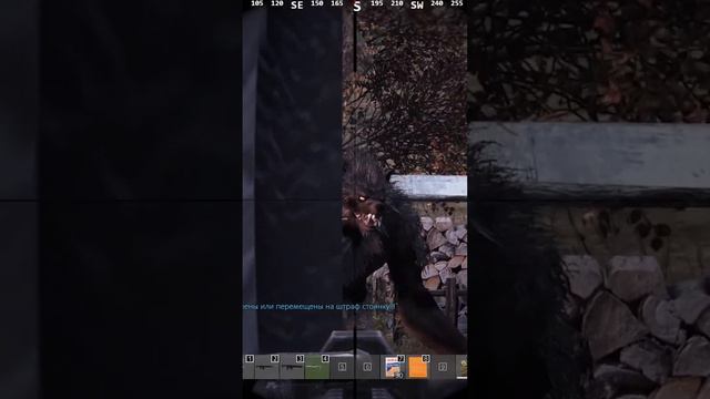 ОБОРОТЕНЬ Dayz pve #shorts