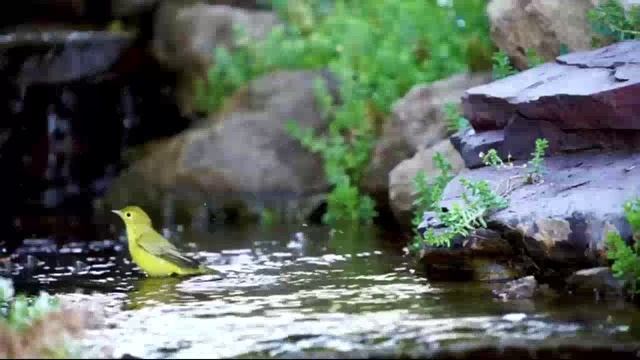 002-Жизнь в загробном мире.