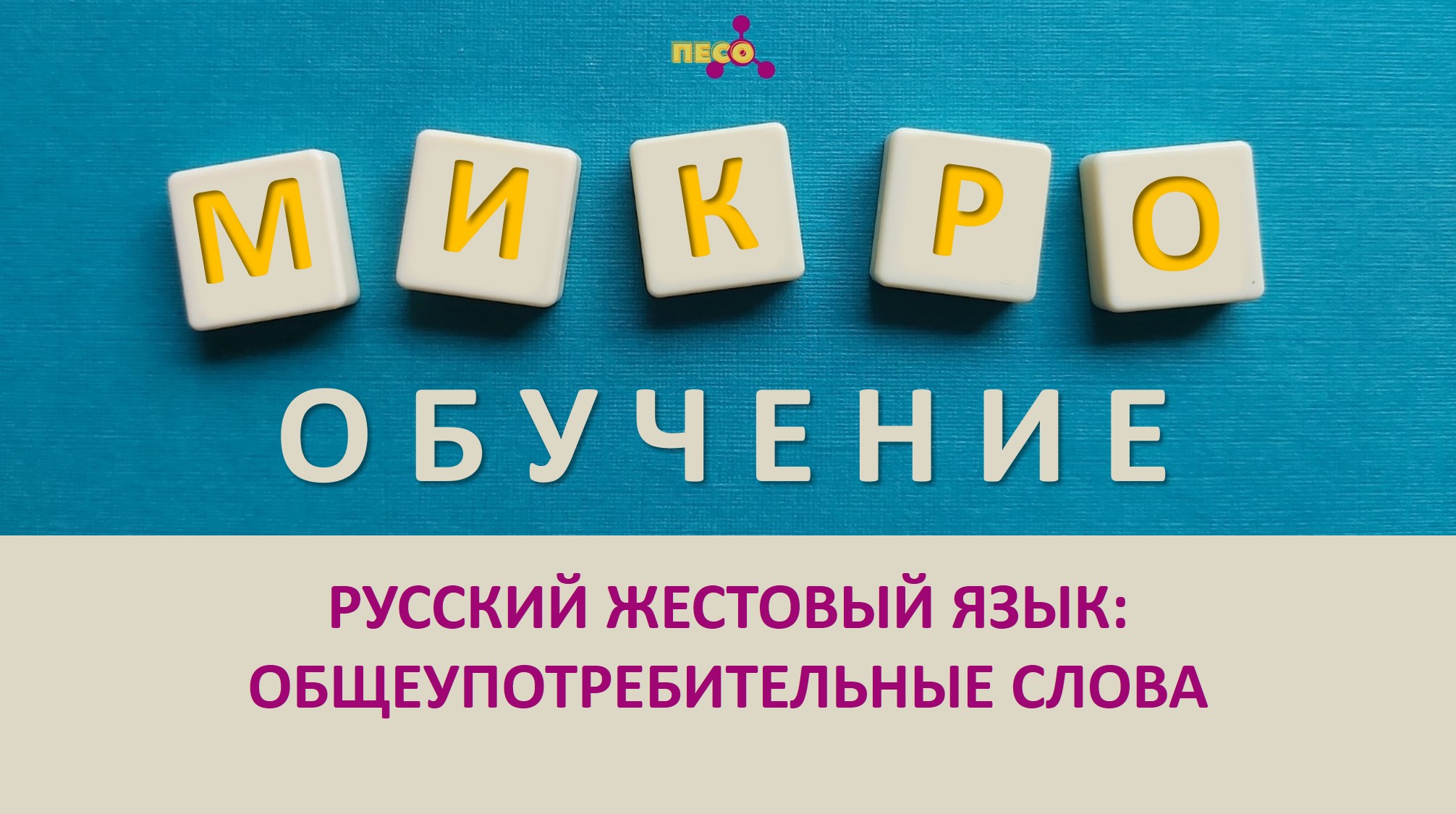 РУССКИЙ ЖЕСТОВЫЙ ЯЗЫК: ОБЩЕУПОТРЕБИТЕЛЬНЫЕ СЛОВА