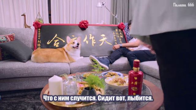 Зоология любви 1 сезон 16 серия