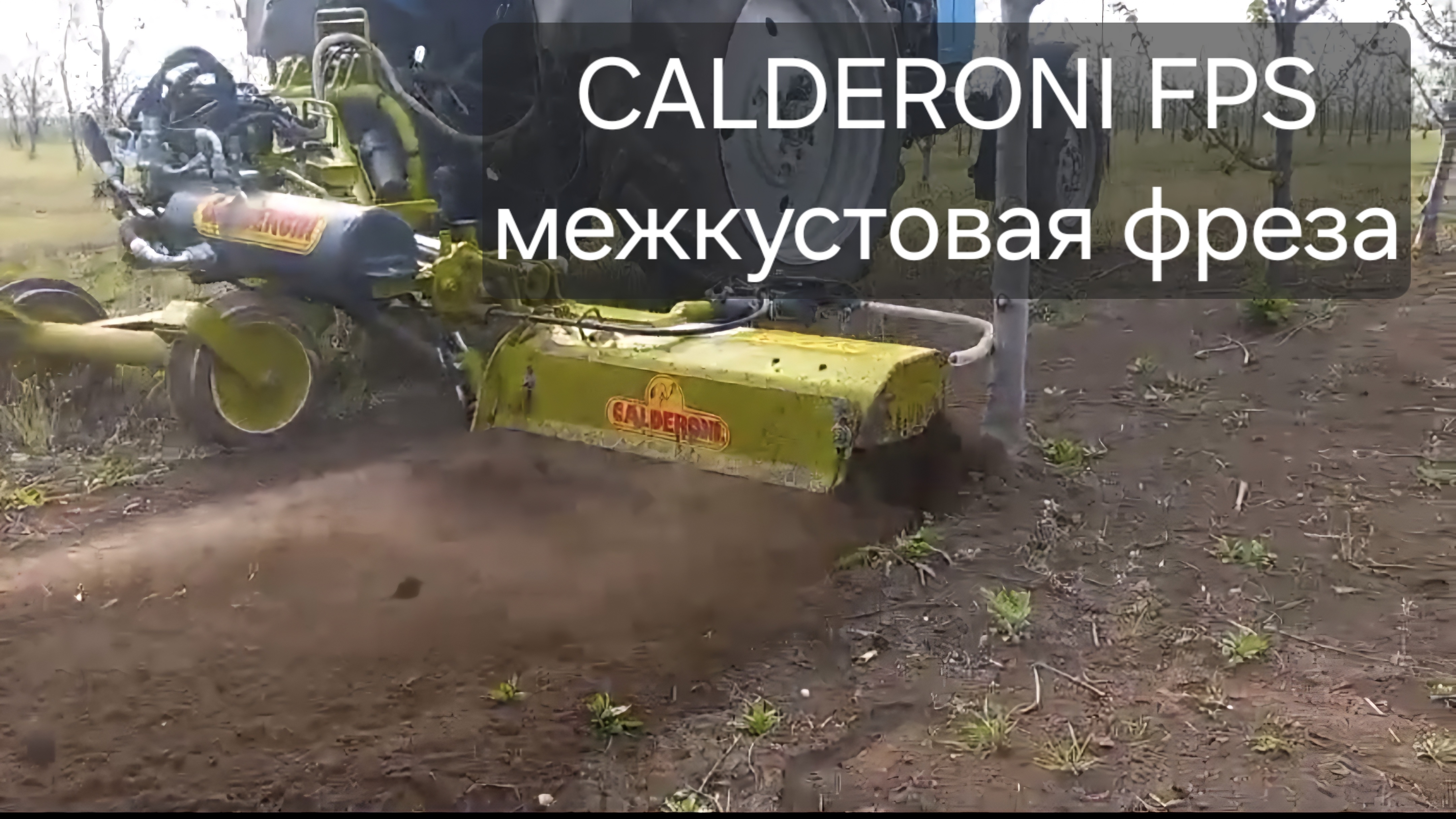 Фреза для приствольной обработки в садах CALDERONI FPS электронное управление Дары садов