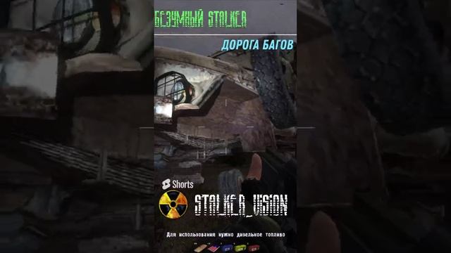 Безумный STALKER. Дорога Багов